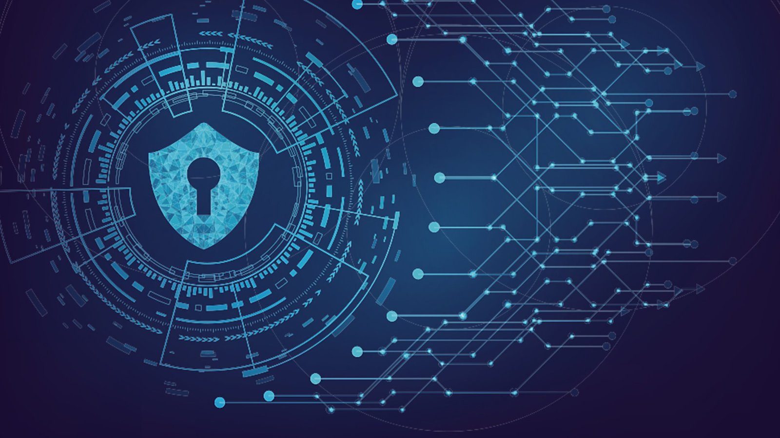 Full Vulnerability Visibility is Essential for Application Security and ...