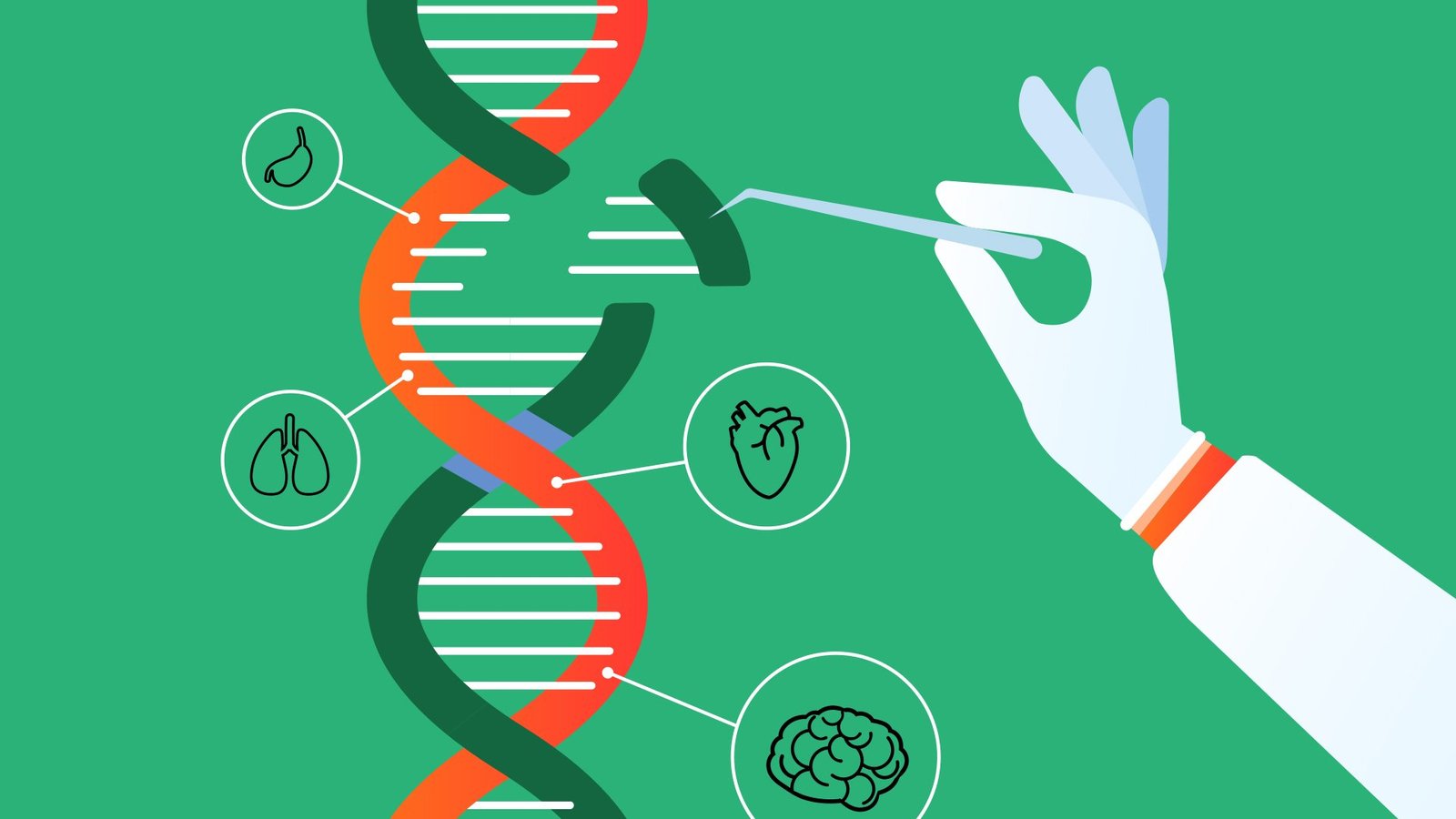 Study reveals blueprint of the most complex cell machine after a decade ...