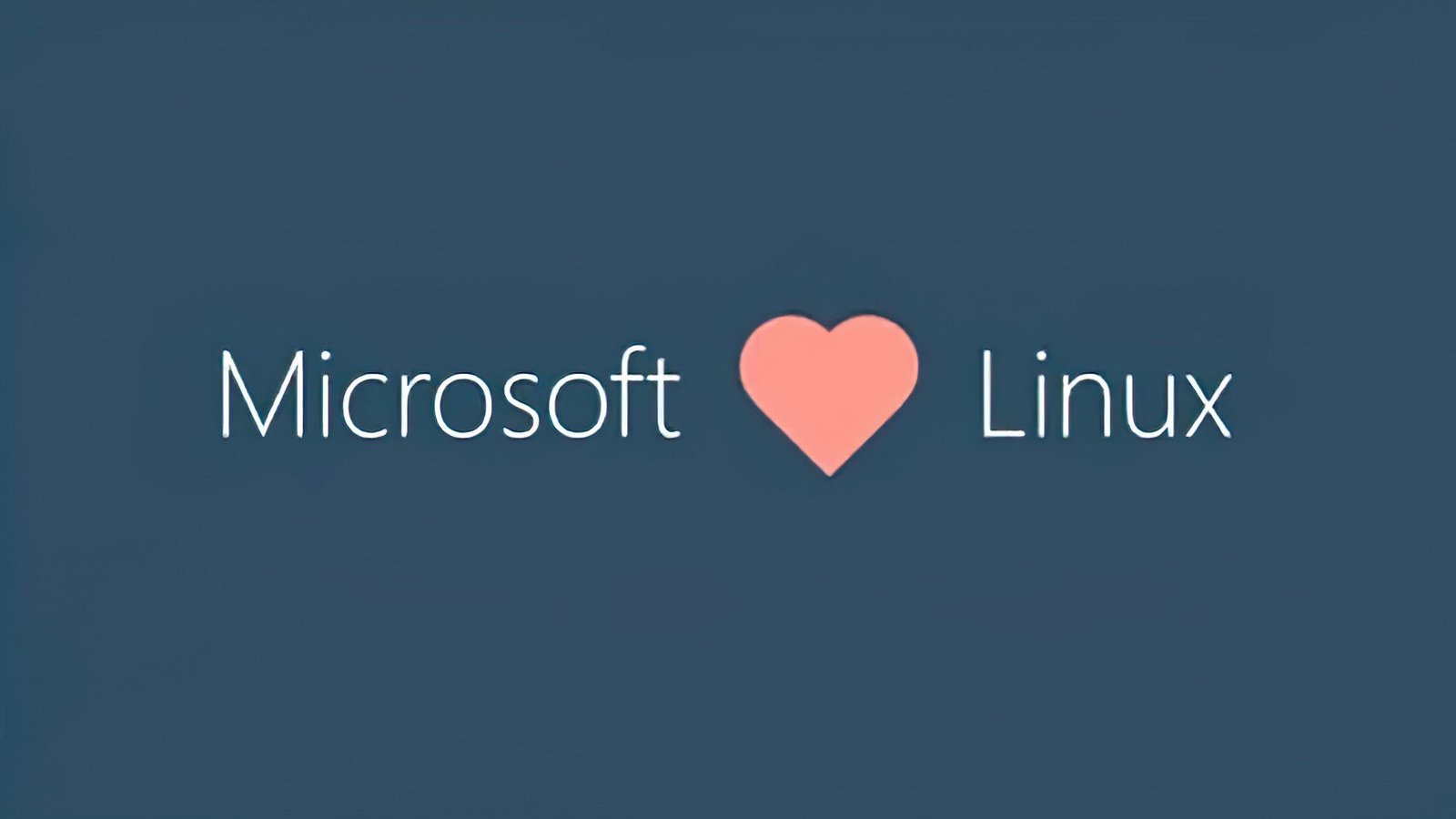 Bill Gates and Linus Torvalds Meet for the First Time – Research Snipers