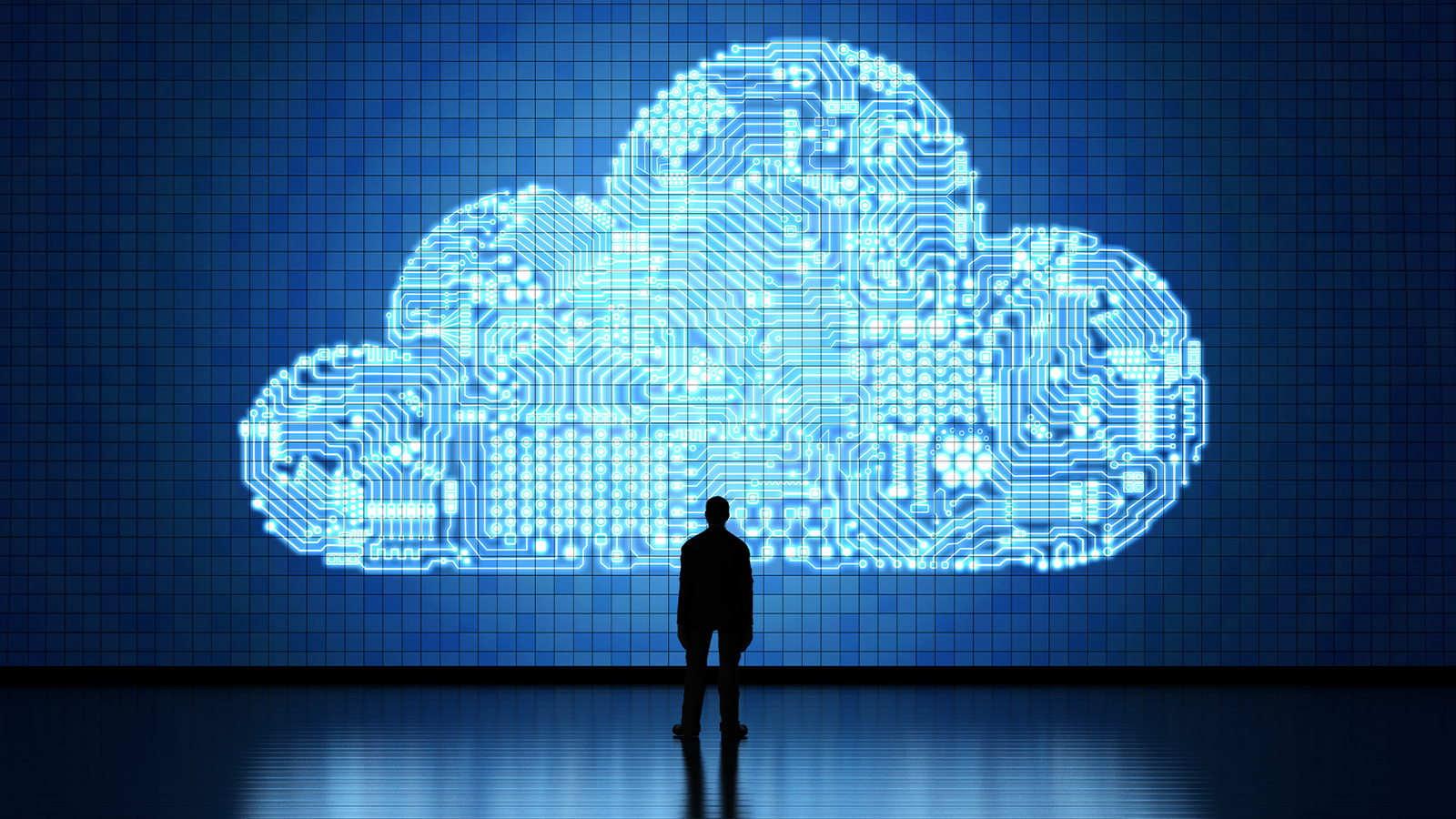 BSI and Schwarz Digits are building a German government cloud ...